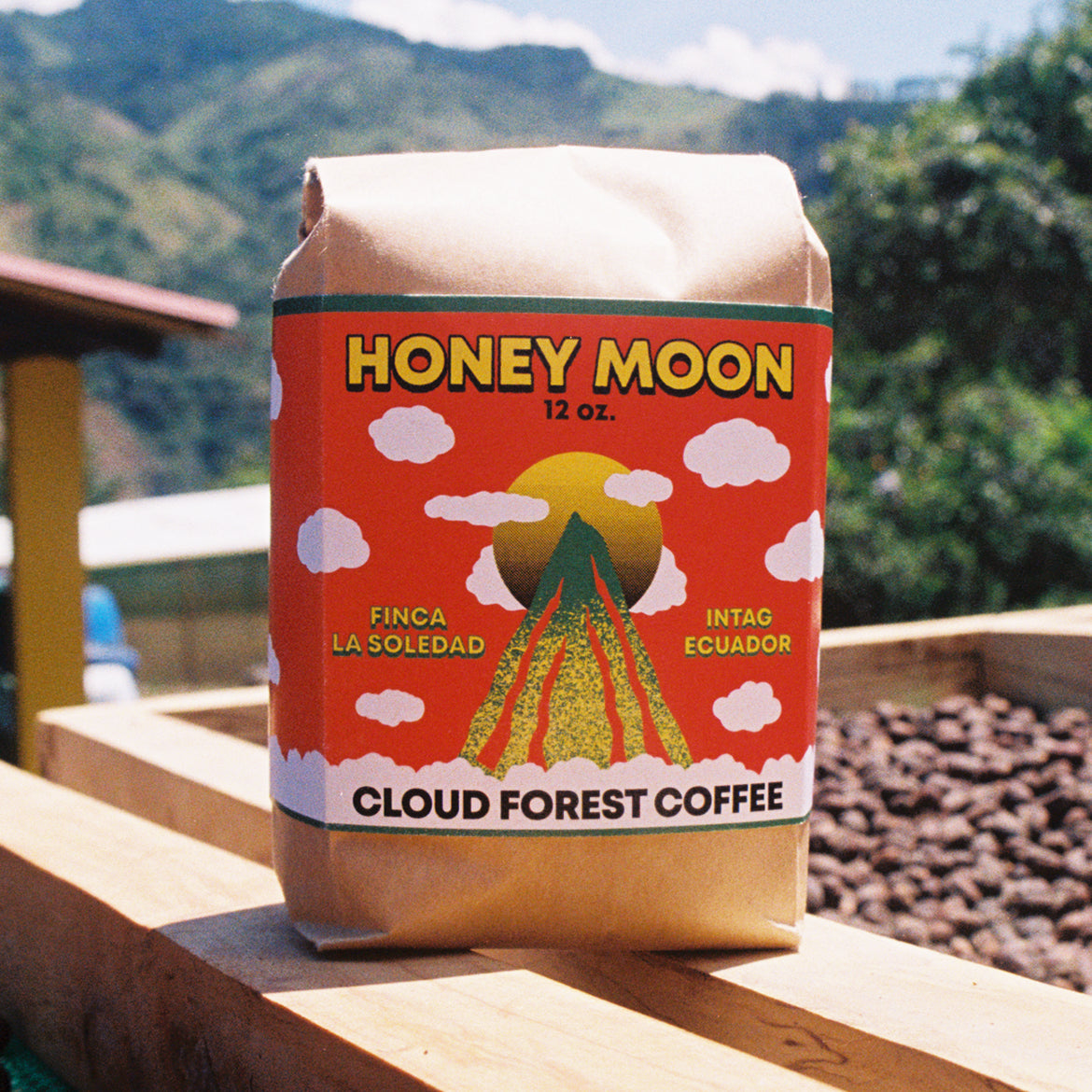 Cloud Forest Coffee (Whole Bean Coffee, 12 oz.) – Honey Moon Coffee